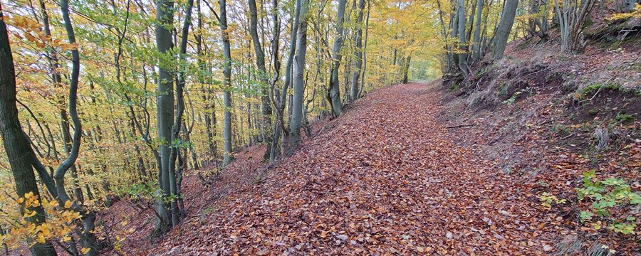 Weibern / Eifel 2023 - Startseite